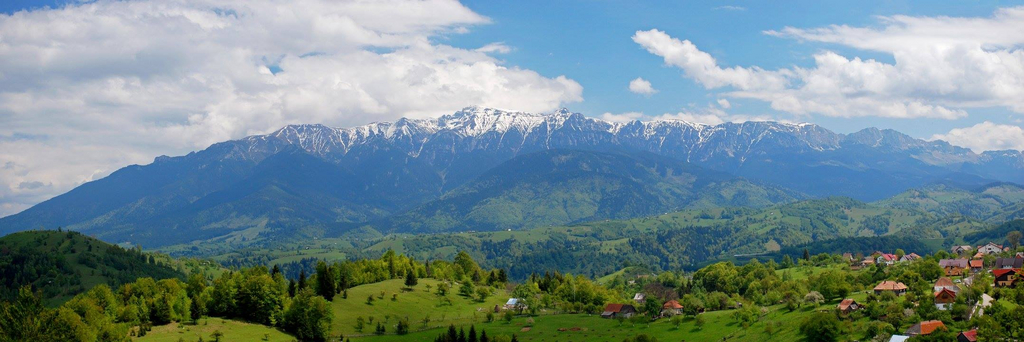 TranSOLvania | SolSea