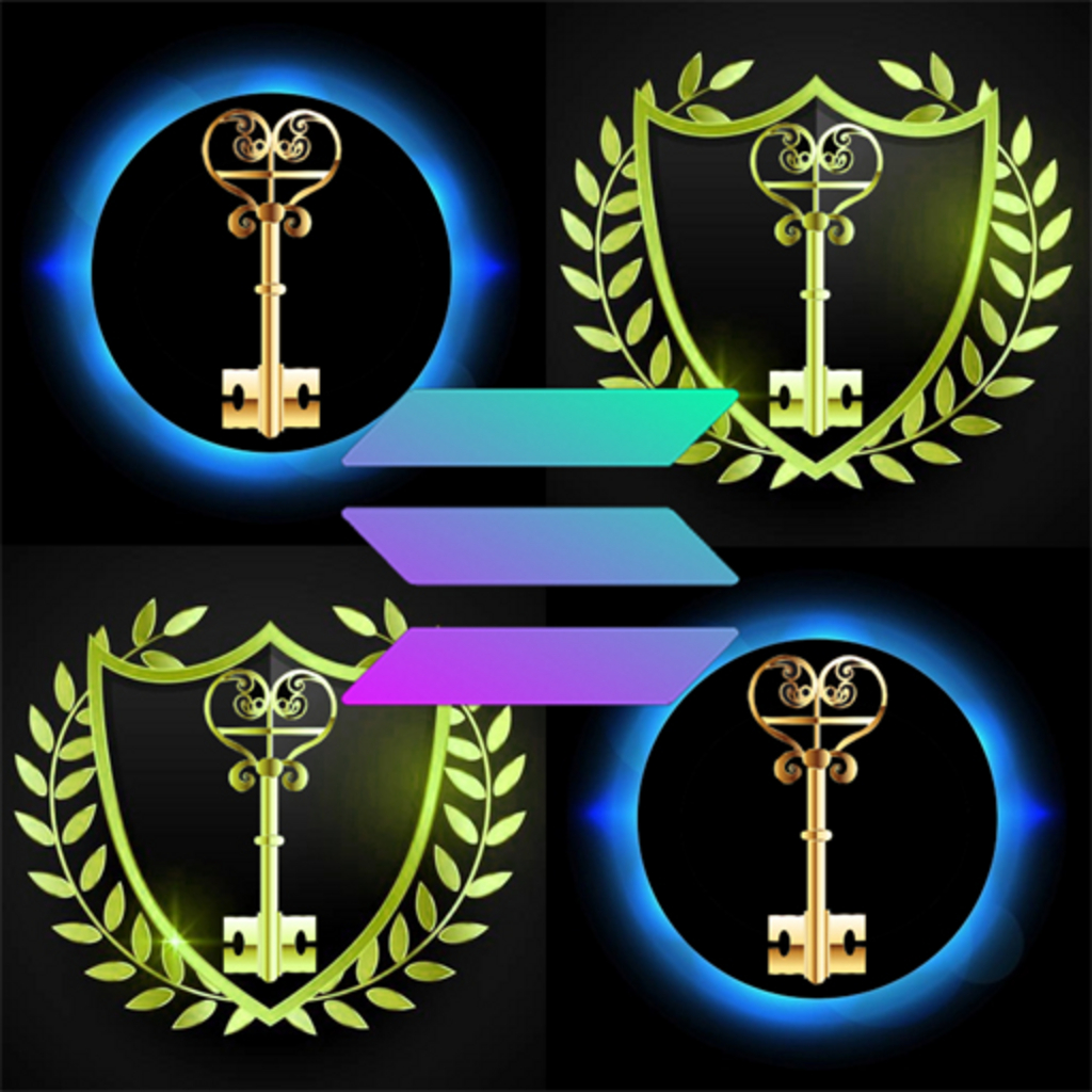 Sol Chain Key #51 | NFT on SolSea