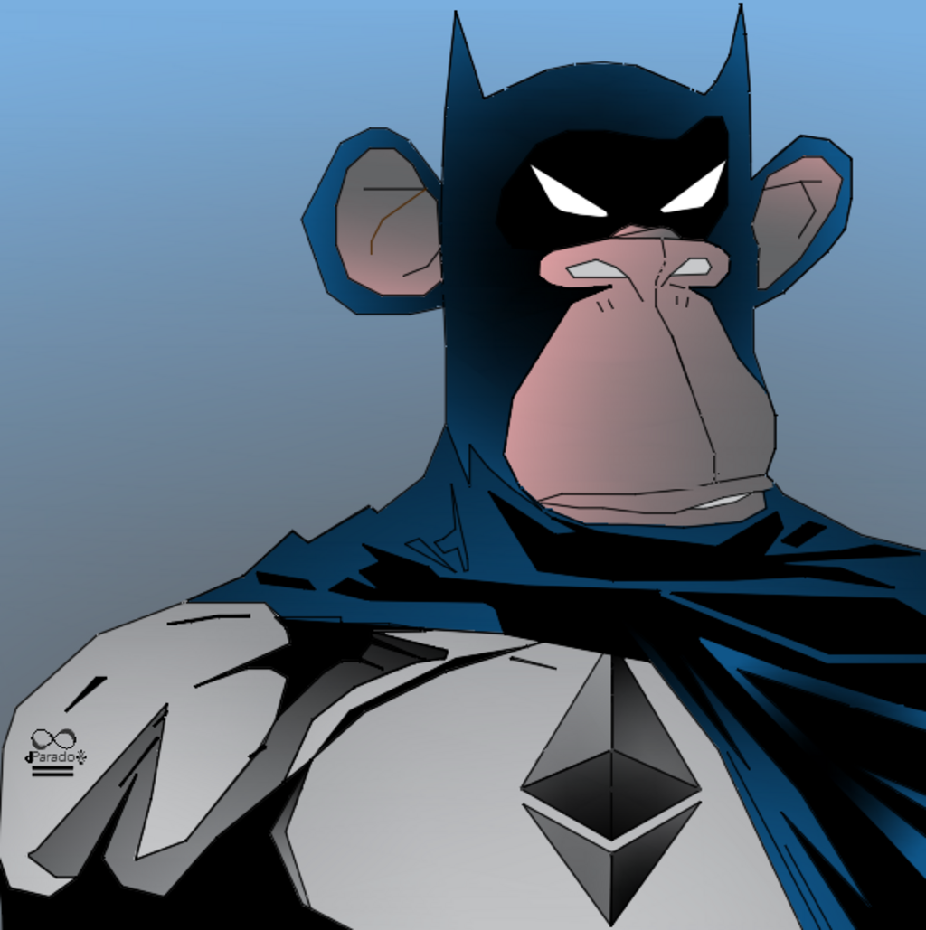 Turtle Paradox #6 | NFT on SolSea