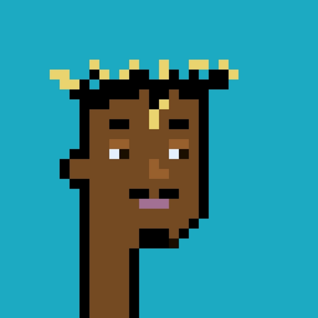 Rapper Punk #14 | NFT on SolSea