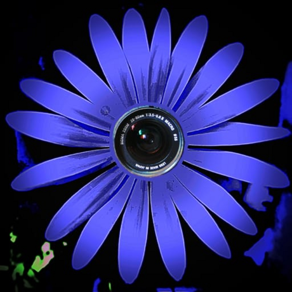 LA Kryptograph | NFT on SolSea