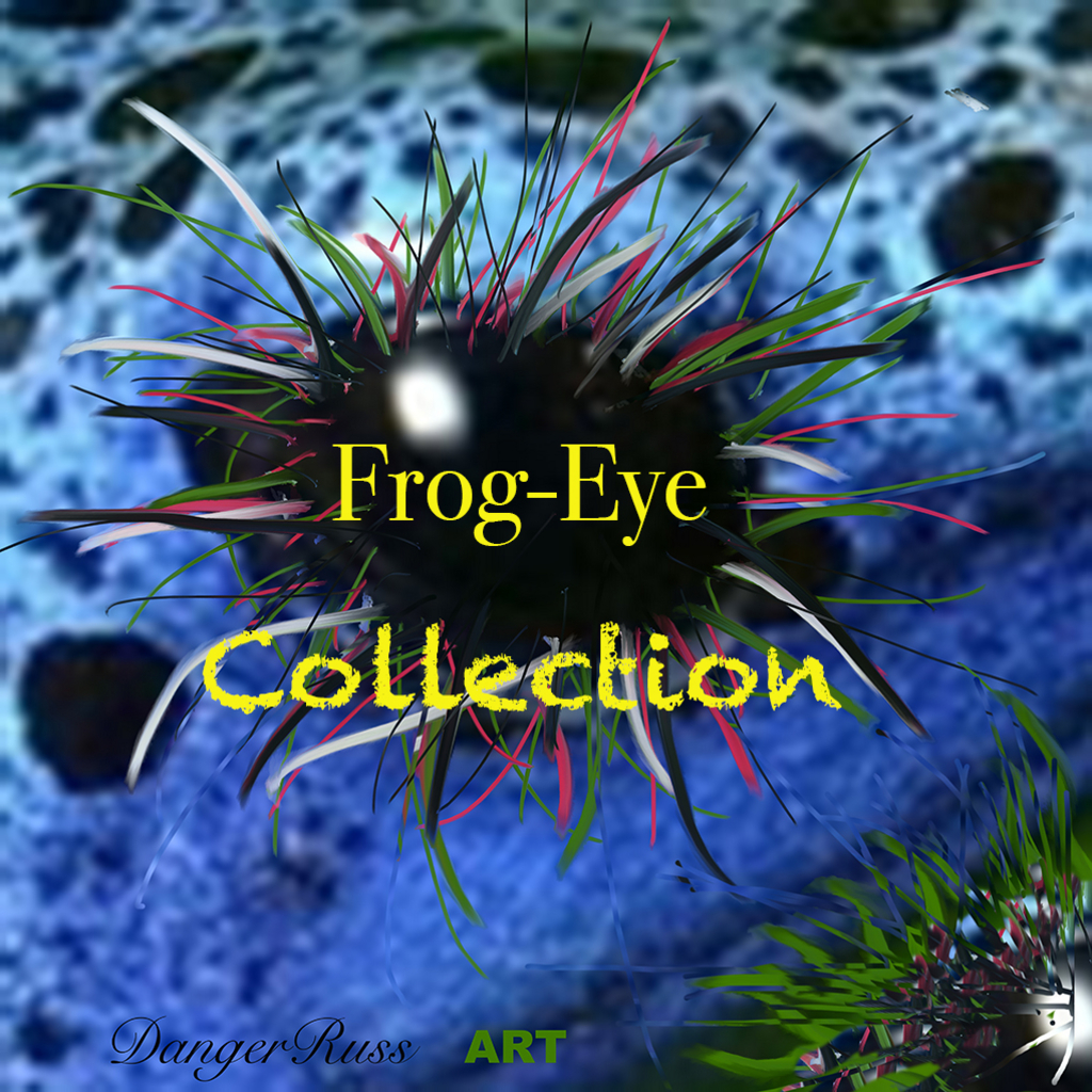 PIXEL Frog Eye Maze | NFT on SolSea