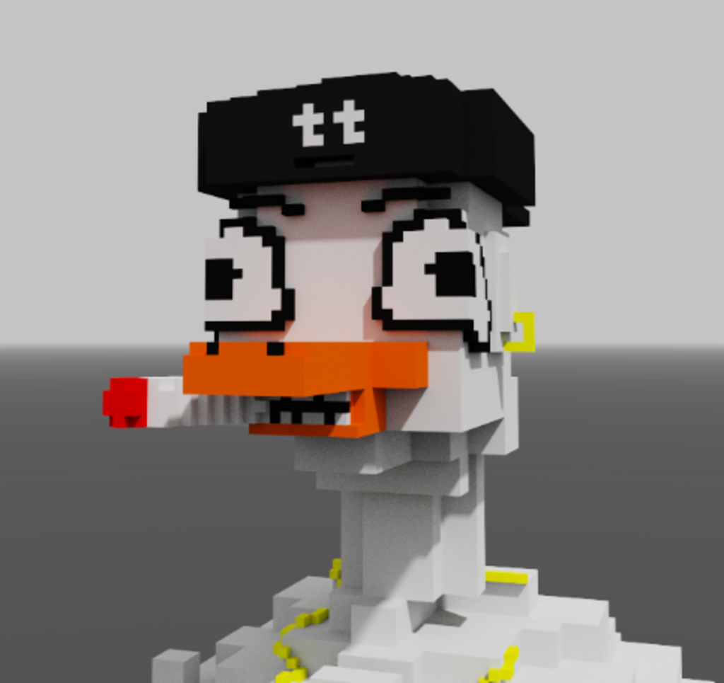 Boxer Duck #67 | NFT on SolSea