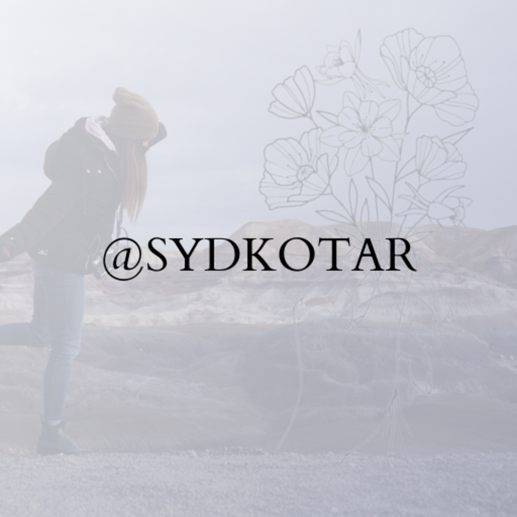 twenty nine yuccas | NFT on SolSea