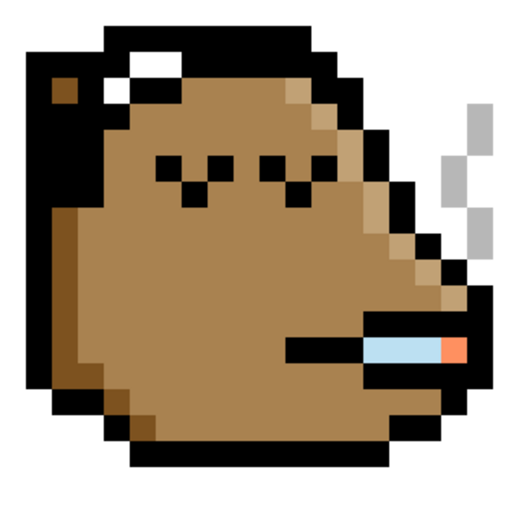 Crypto Hippo #1 | NFT on SolSea