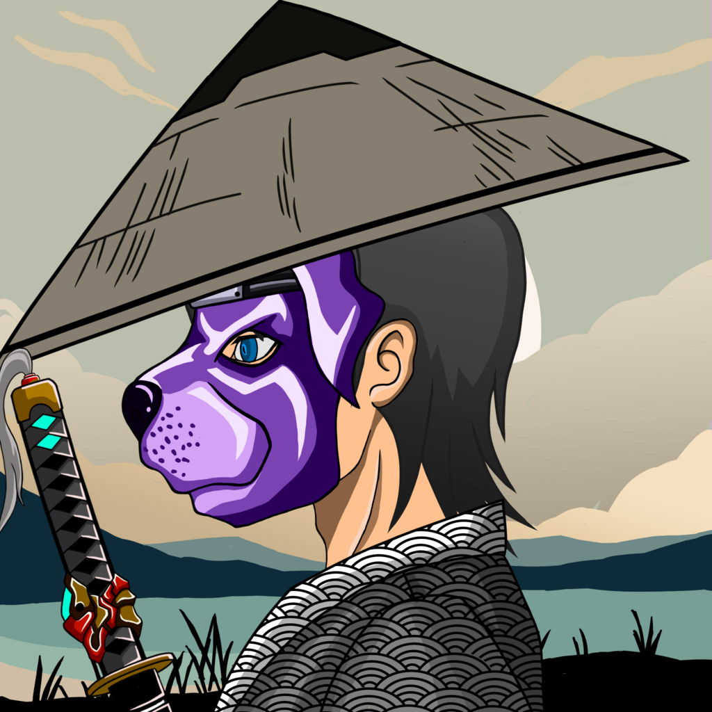 Samurai #22 | NFT on SolSea