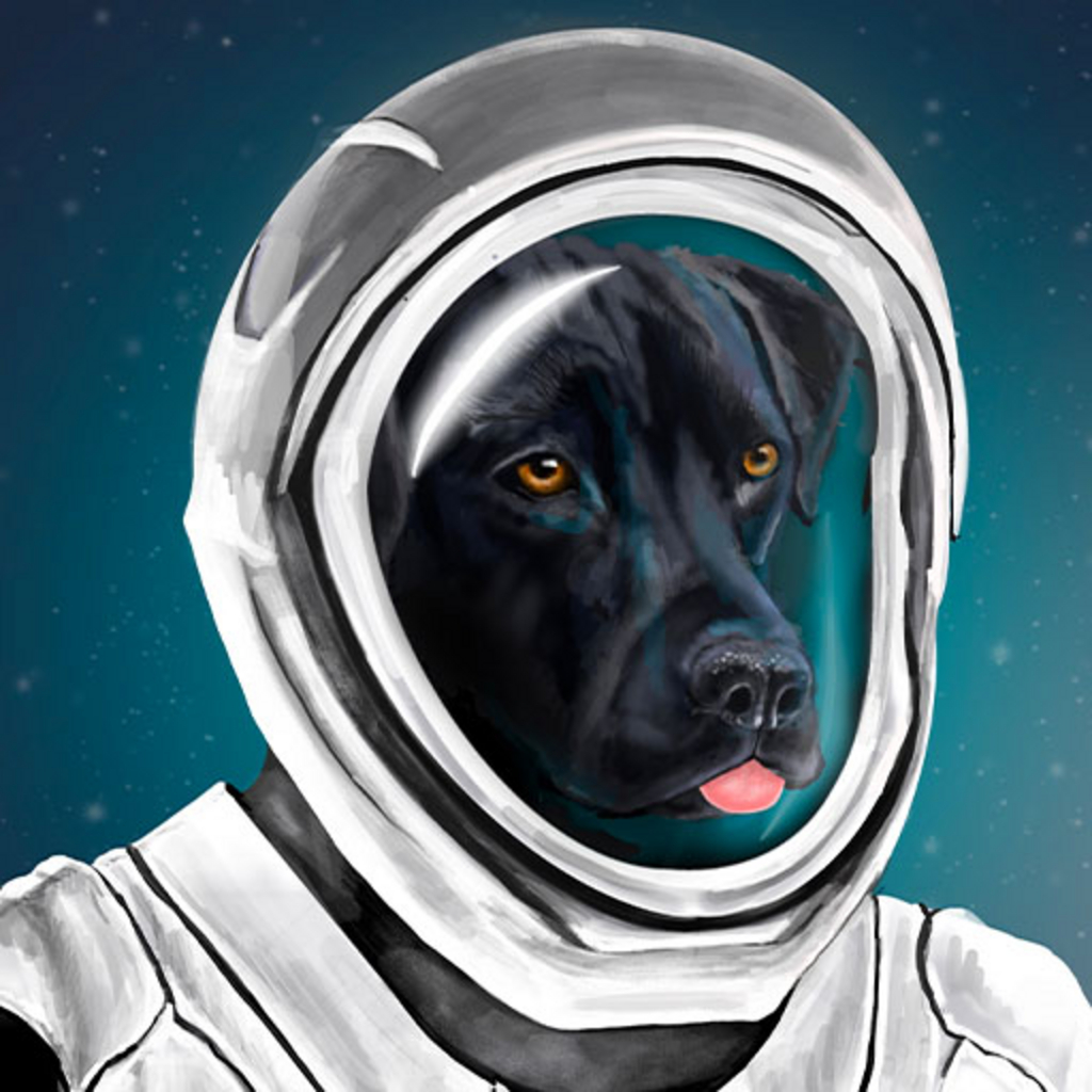 Techno Pup #36 | NFT on SolSea