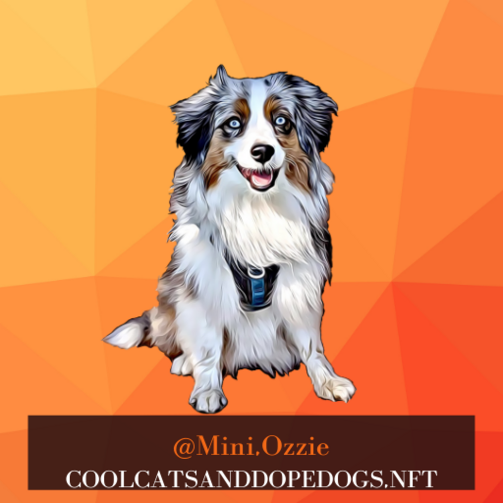 Christmas Ozzie 2021 | NFT on SolSea
