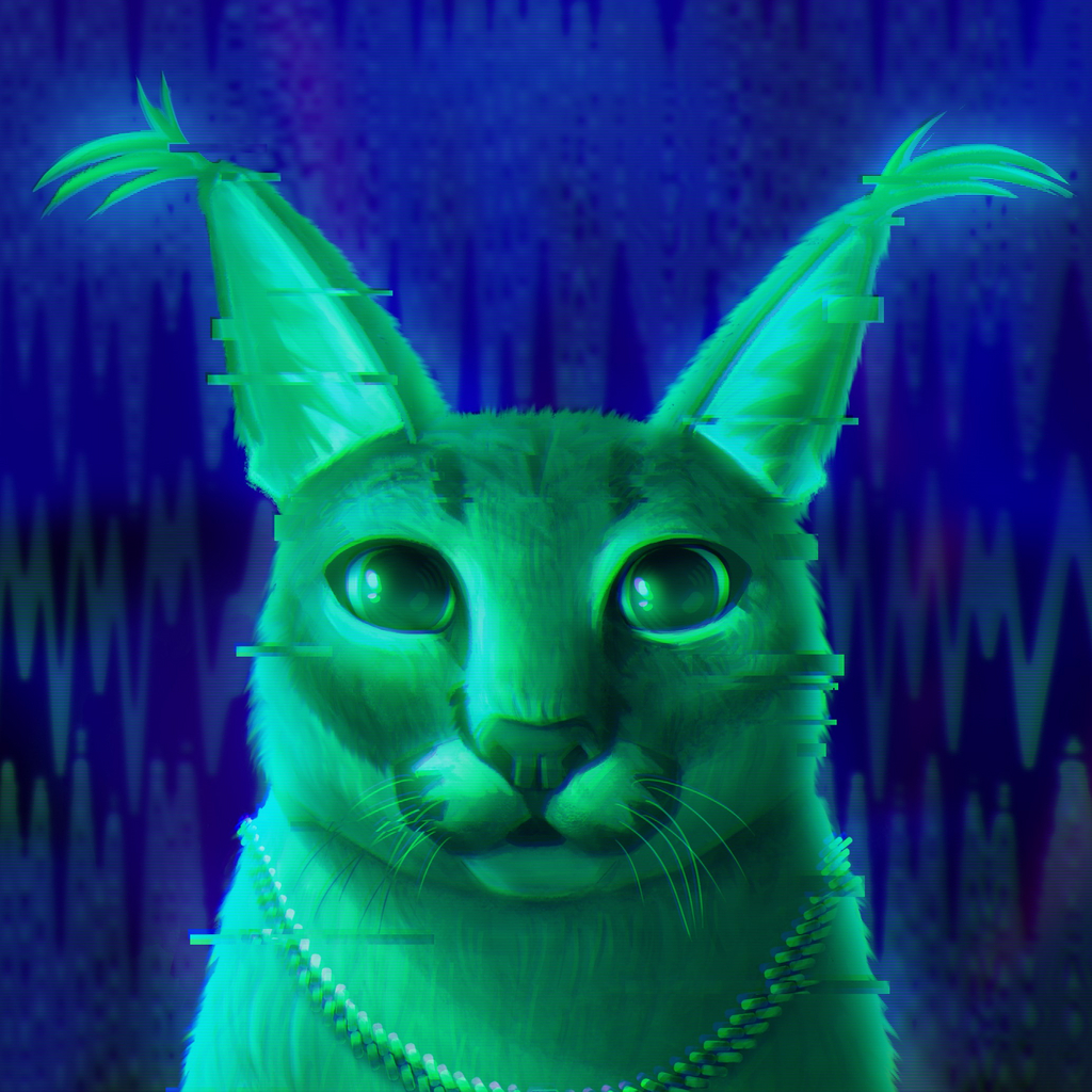 Floppa #010 | NFT on SolSea