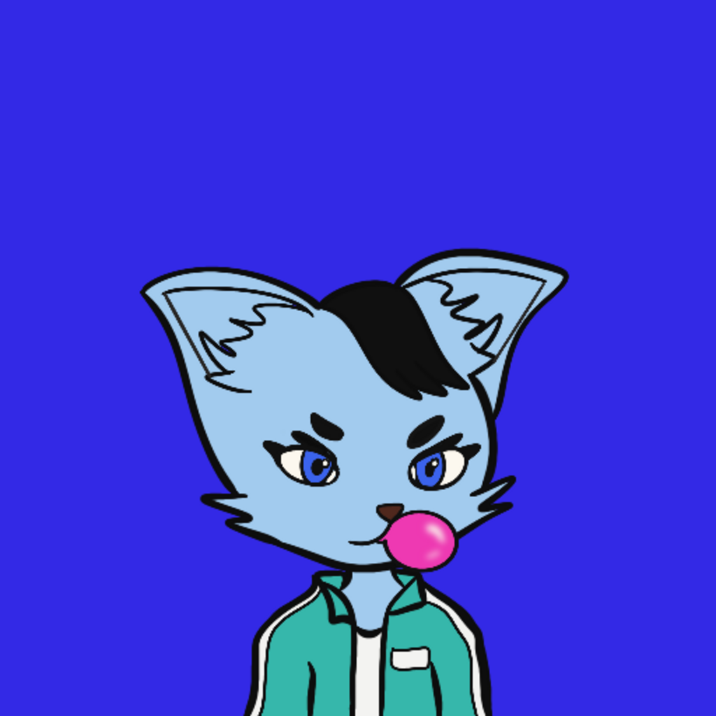 SolCatz #6 | NFT on SolSea