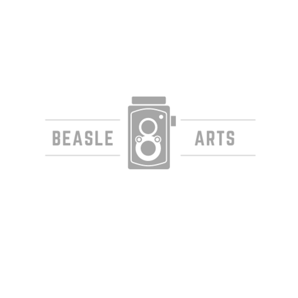 Beasle Arts | SolSea