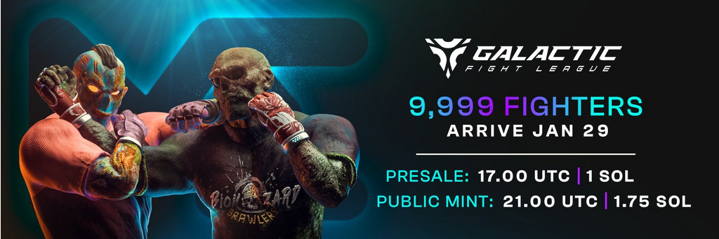 Galactic Fight League | SolSea