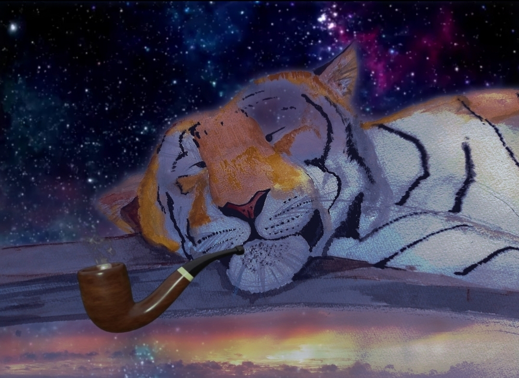 Night Sky | NFT on SolSea