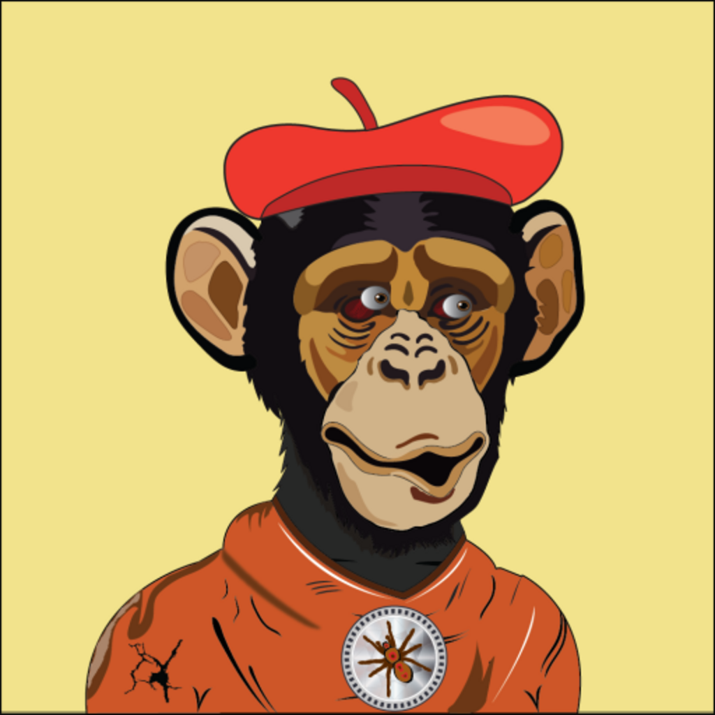 Bored Apes | NFT on SolSea
