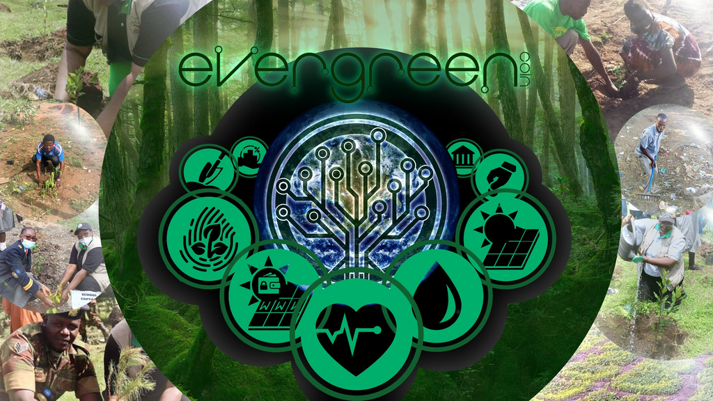 Love the land | NFT on SolSea