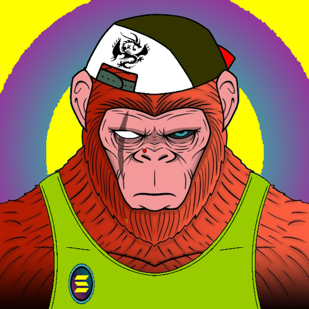 CHIMP FIGHTER BRAINY | NFT on SolSea