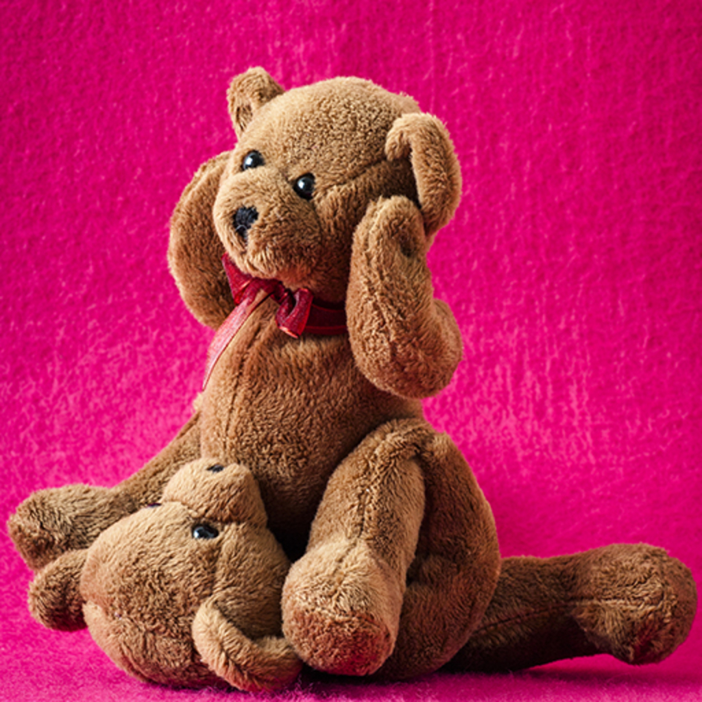 F..... Bears doggy | NFT on SolSea