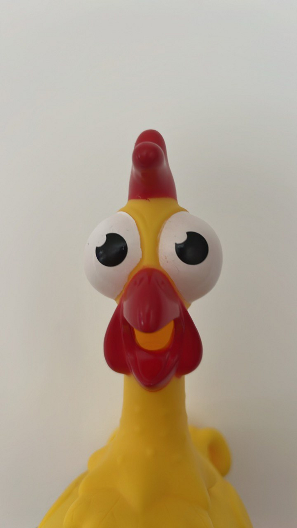 Igor The Duck | NFT on SolSea