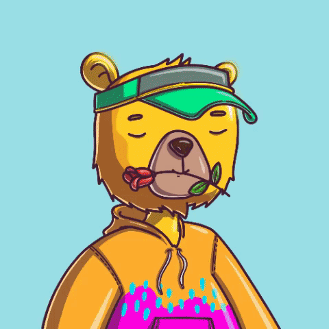 Just Bear #21 | NFT on SolSea