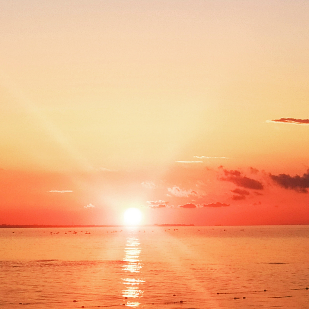 Acid Sunset | NFT on SolSea