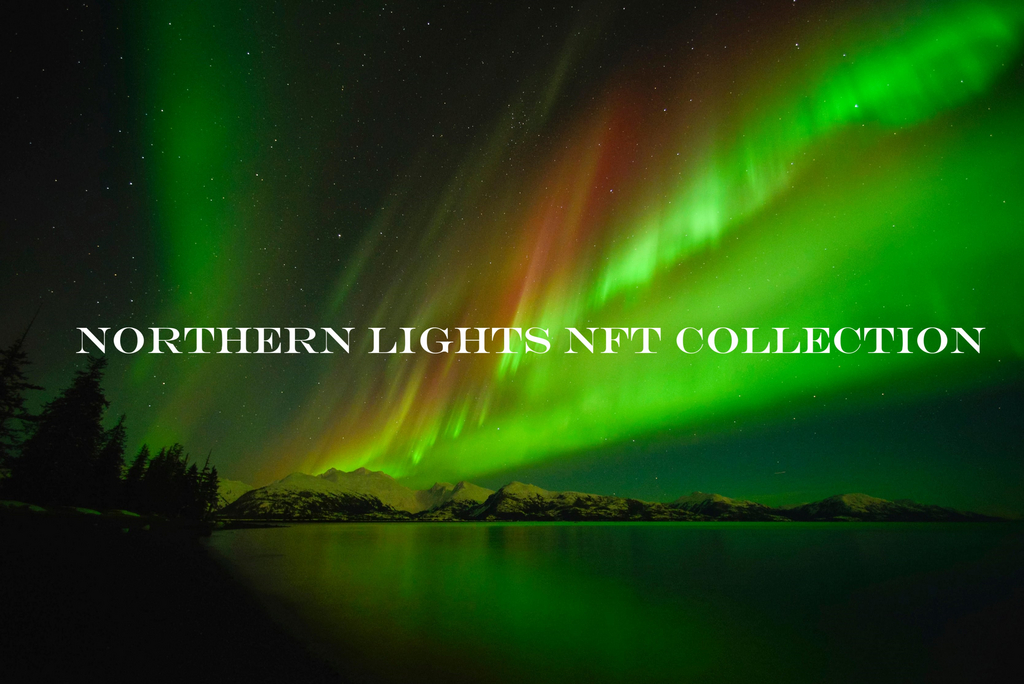 Northern Lights NFT Collection | SolSea