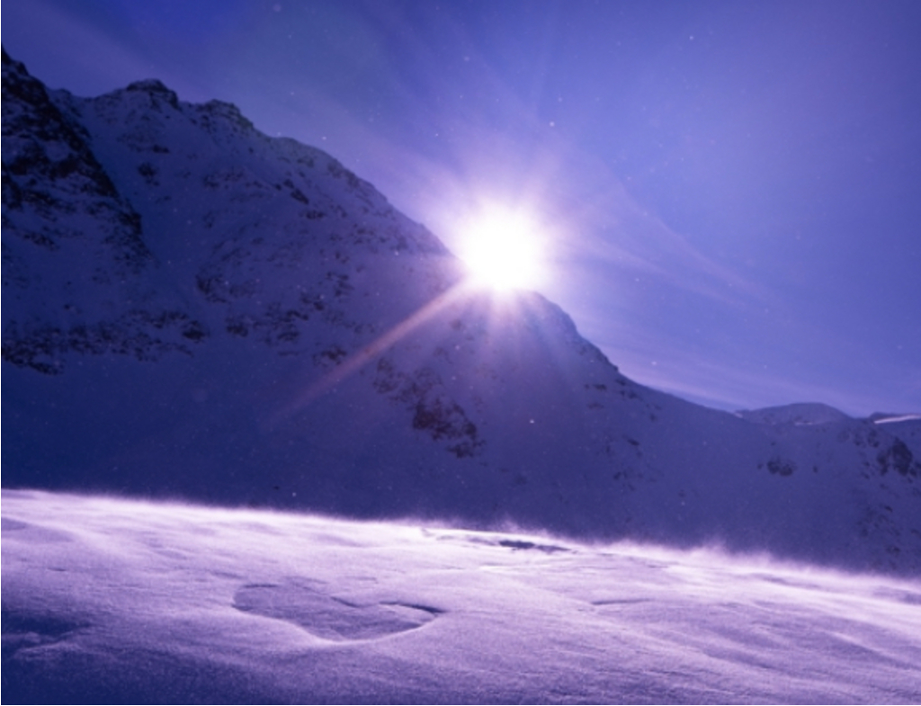 Purple Snow | NFT on SolSea