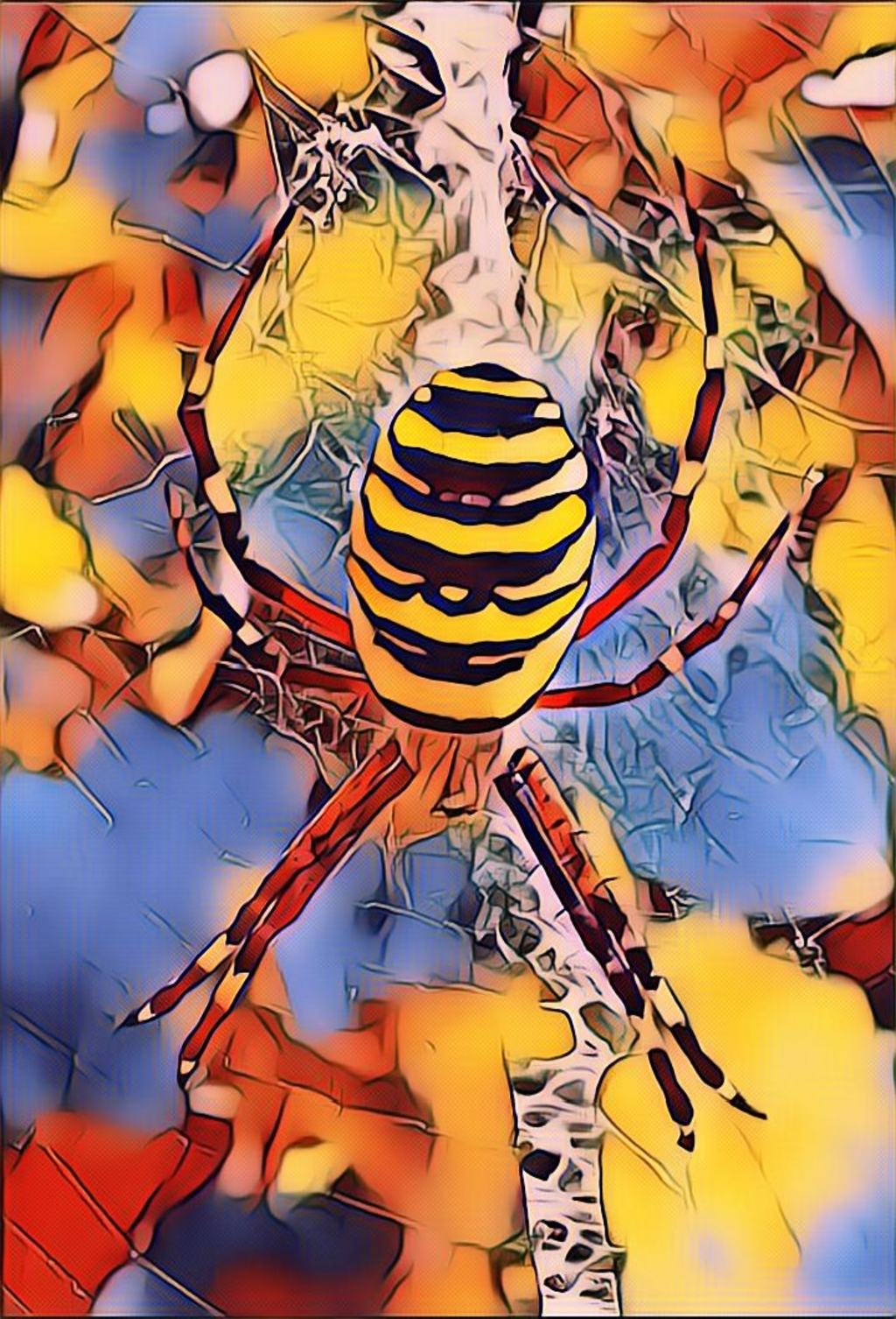 spider_2 | NFT on SolSea