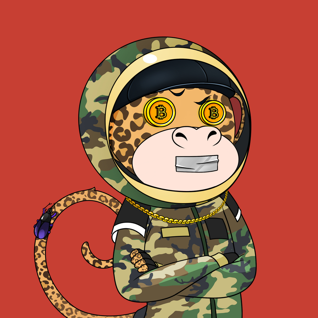 Astro Baby Ape #3844 | NFT on SolSea