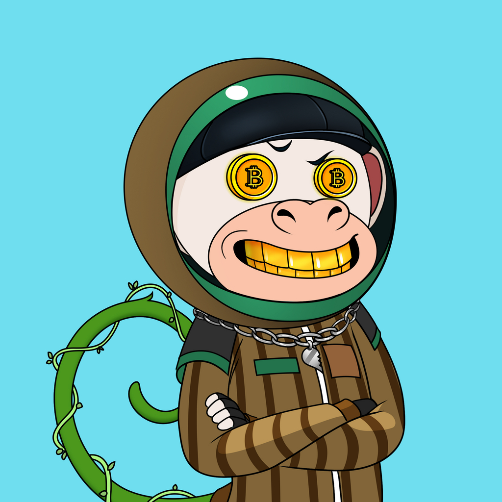 Astro Baby Ape #6200 | NFT on SolSea