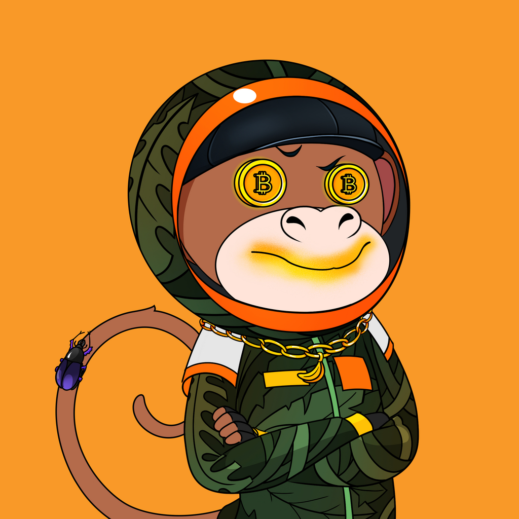 Astro Baby Ape #5954 | NFT on SolSea