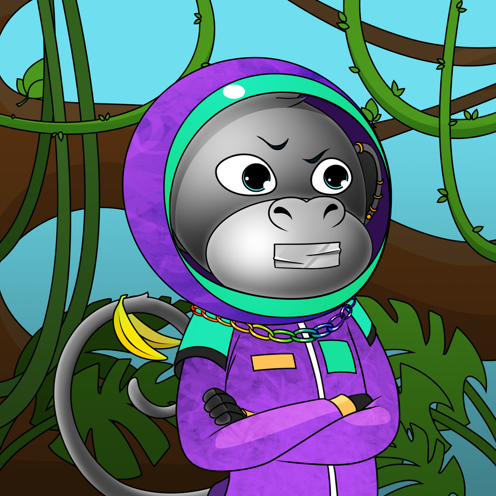 Astro Baby Ape #1005 | NFT on SolSea