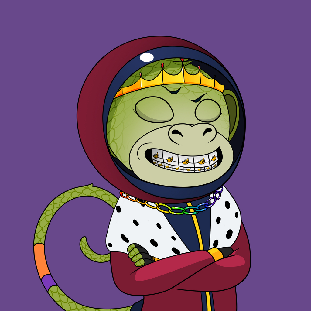 Astro Baby Ape #5764 | NFT on SolSea